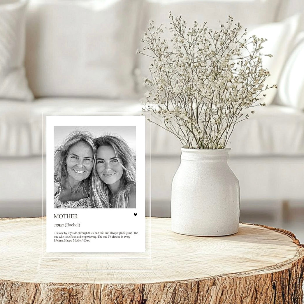 CUSTOM SOLVENT - STICKER - DICTIONARY ENTRY (SMALL) – House of Blanks